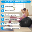 APEXUP Yoga Exercise Ball, Heavy Duty Large Gym Ball – APEXUP SHOP